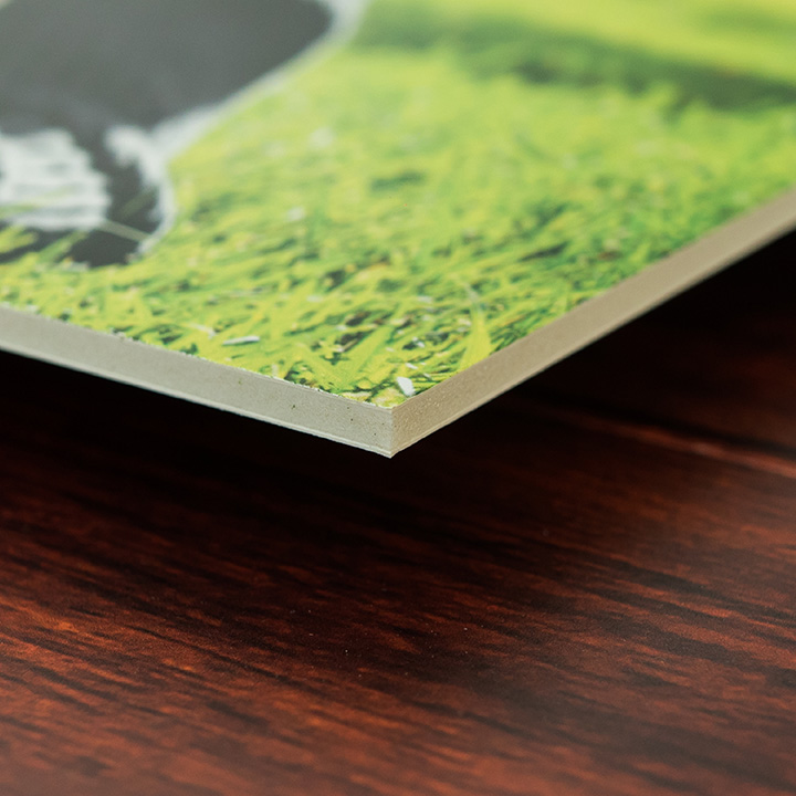 K-line - Onelab Pro Portugal